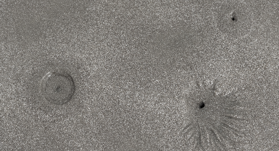 Actividad - 5 de abril de 15,232. El tiempo de nada - 13 de julio